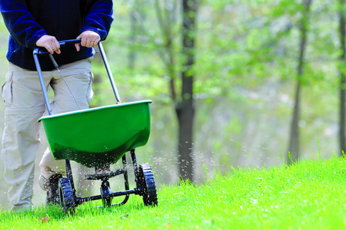The basics of fertilizing a lawn | News, Sports, Jobs - The Express